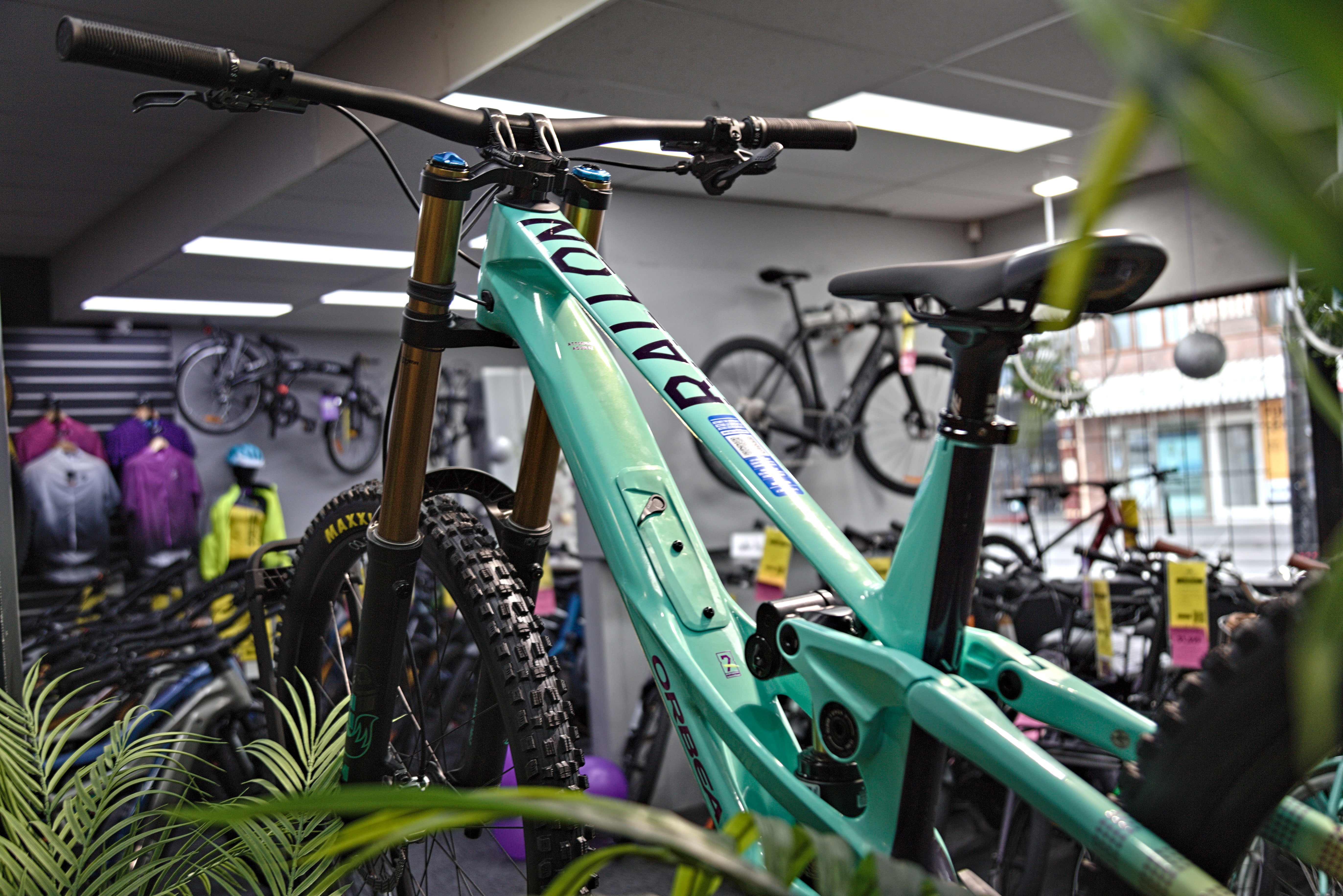 Orbea Rallon D-LTD Downhill Mountain Bike - Aloha Green/Fantasy Purple ...