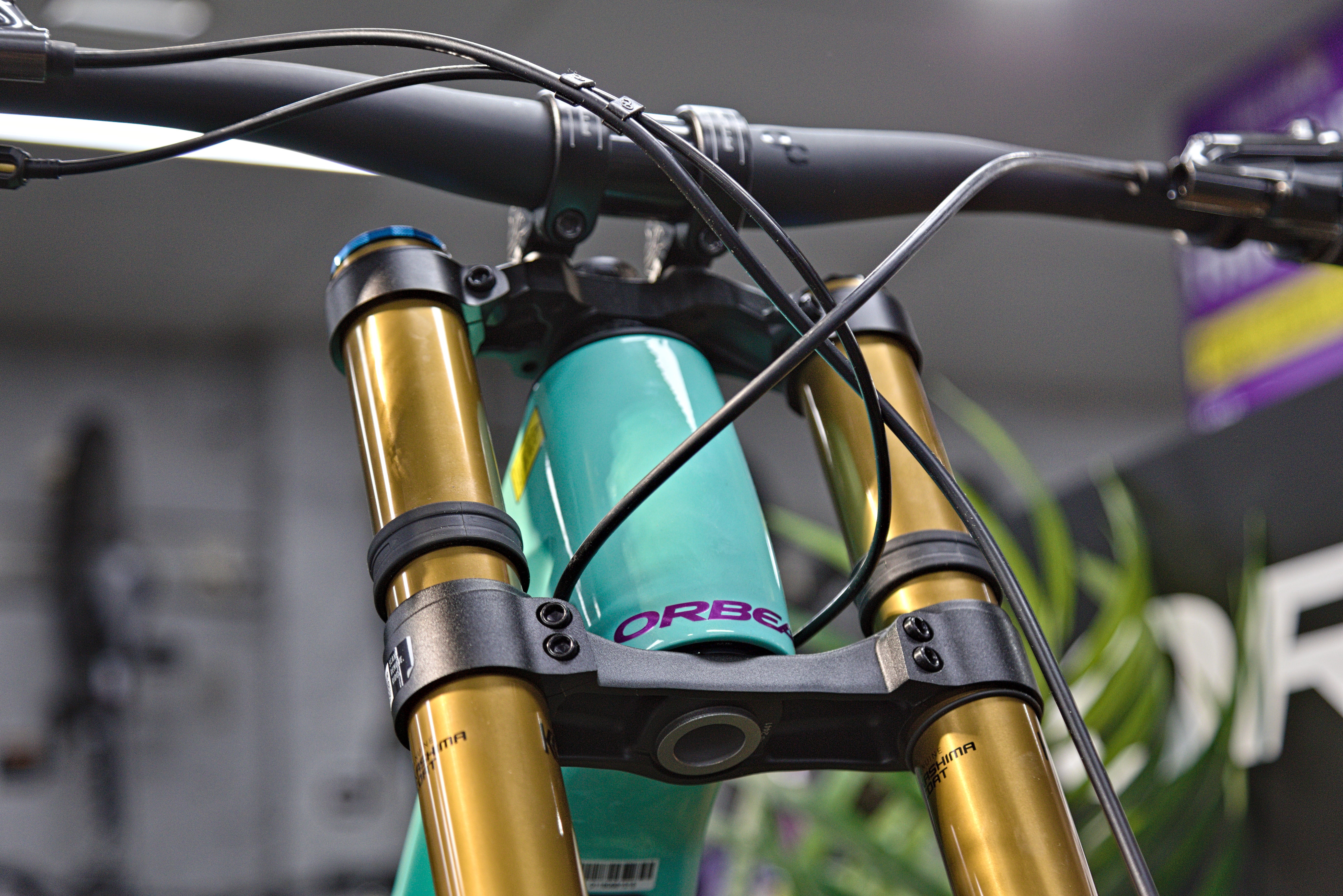 Orbea Rallon D-LTD Downhill Mountain Bike - Aloha Green/Fantasy Purple ...