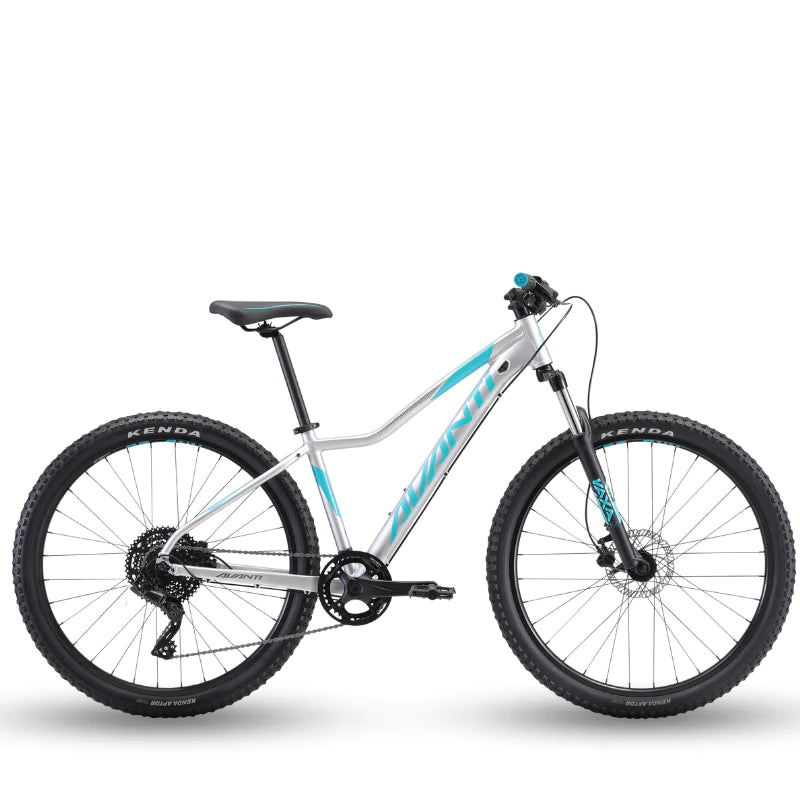 Avanti Montari MS 1W Mountain Bike Silver – bikes.com.au