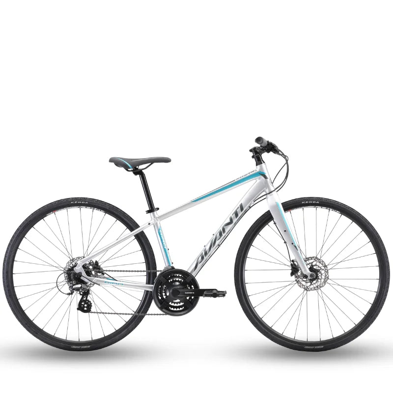 Avanti Giro F2W Silver – bikes.com.au